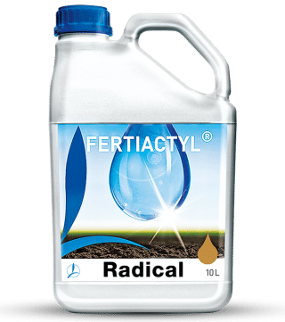 Řepka - TIMAC AGRO Czech
